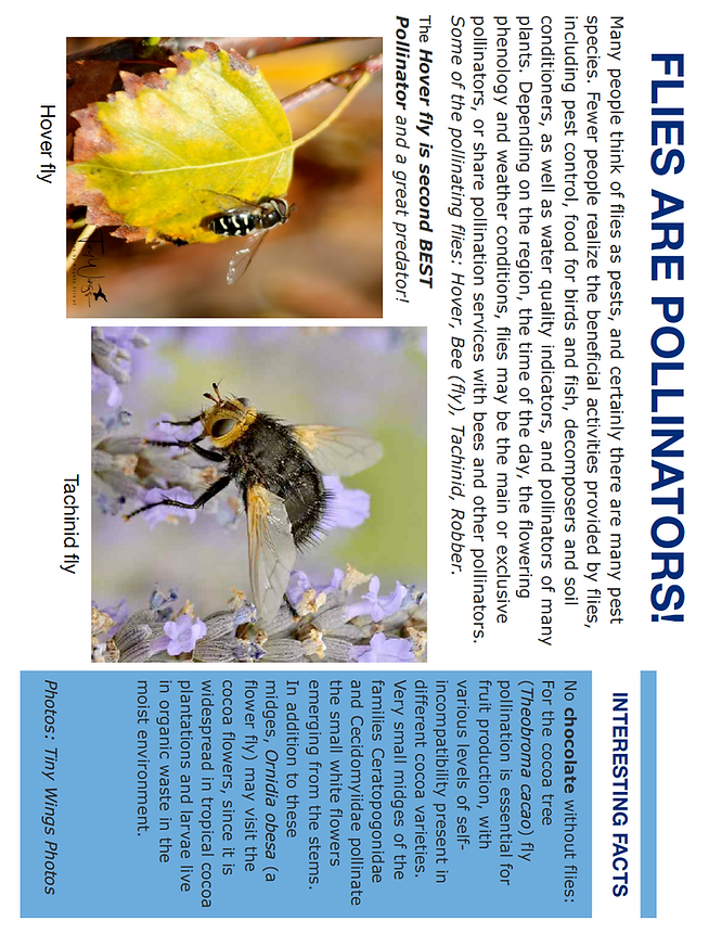 The Pollinators | pollinatorprojectroguevalley